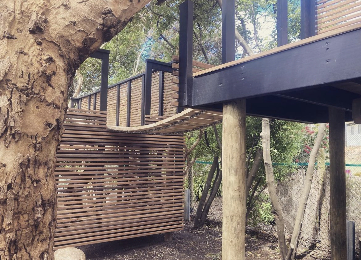 Treehouse – The Building & Construction Company